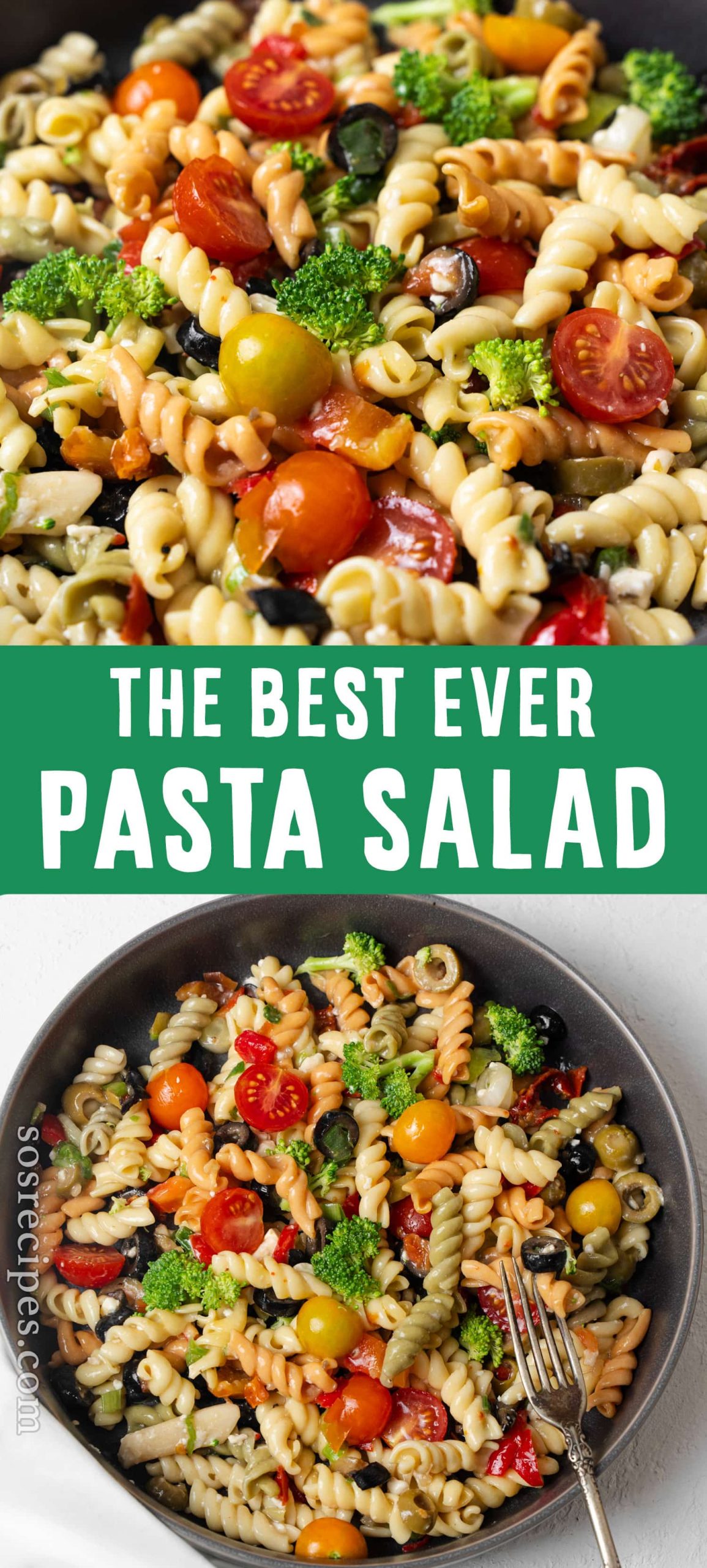 Quick And Easy Pasta Salad Recipe - Sos Recipes