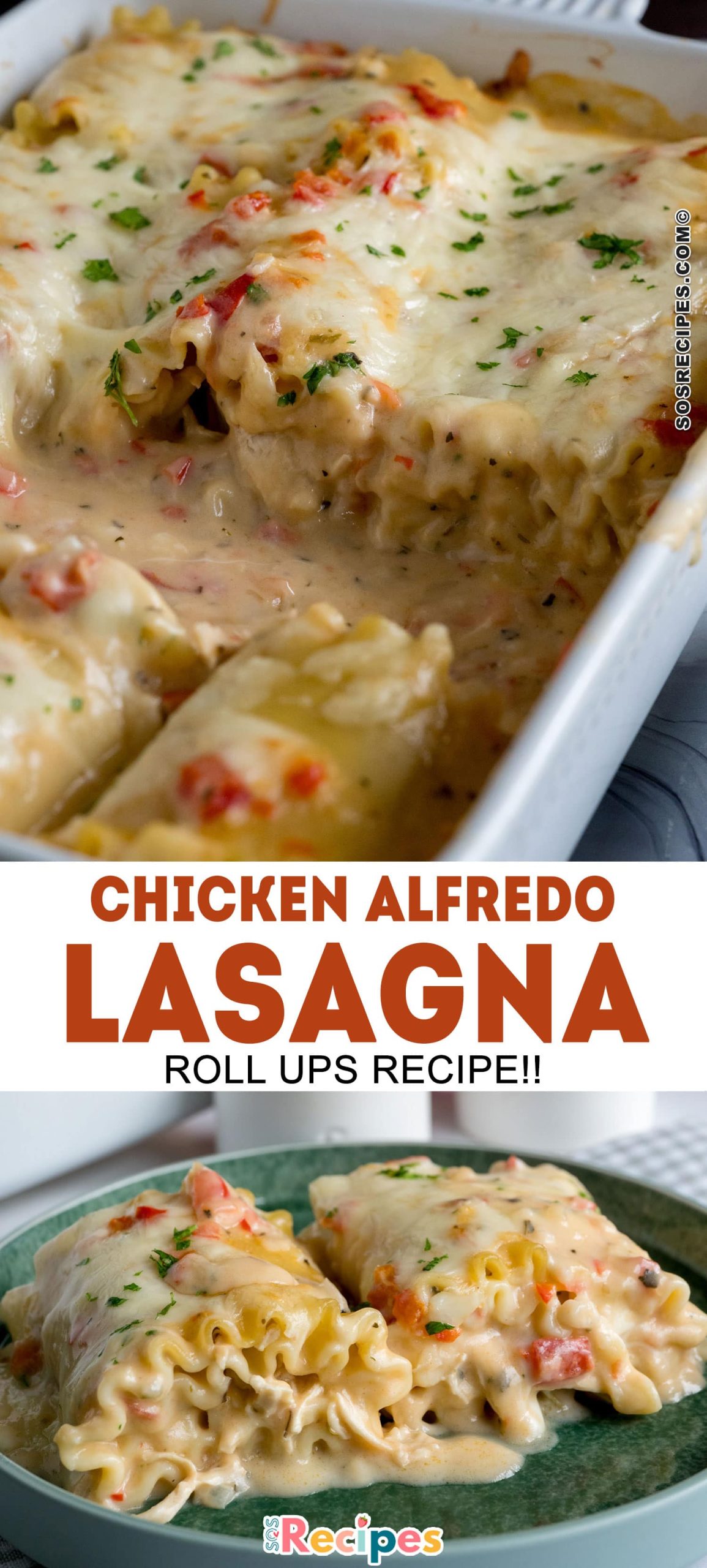 Easy Chicken Lasagna Roll Ups - Sos Recipes